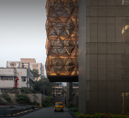 RP-SG House - Morphogenesis